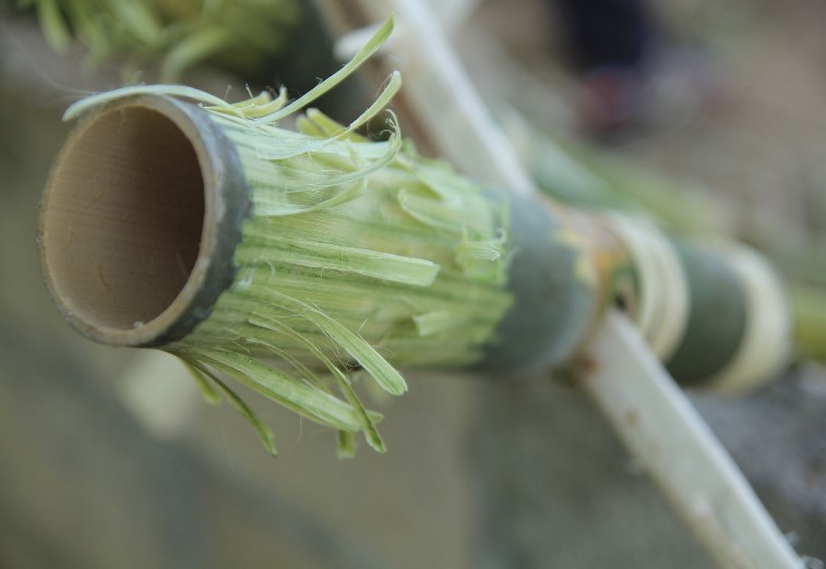 Preserving Musical Heritage of Krung: A Harmonious Blend of Culture and ...